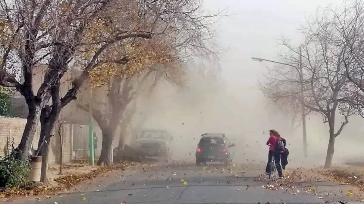 Viento fuerte en Neuquén: se esperan ráfagas intensas esta semana